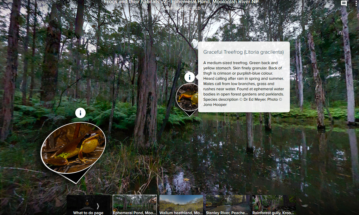 QLD Frog Society Inc. – Virtual Frogging Experience launched!