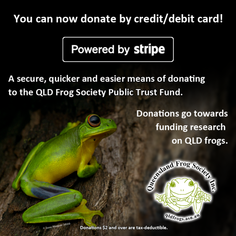 QLD Frog Society Inc. – Ric Nattrass Research Grant